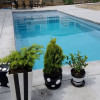 The Freedom With Splash Pad | Pools and Beyond
